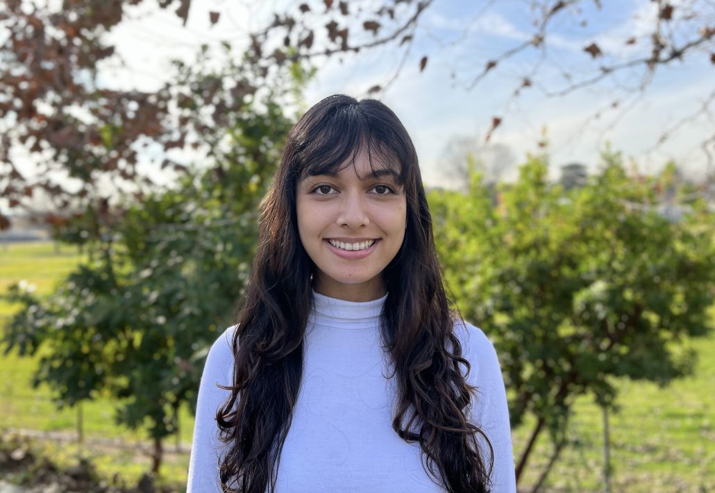 Undergraduate Education Initiatives | Shapiro Family Scholarship